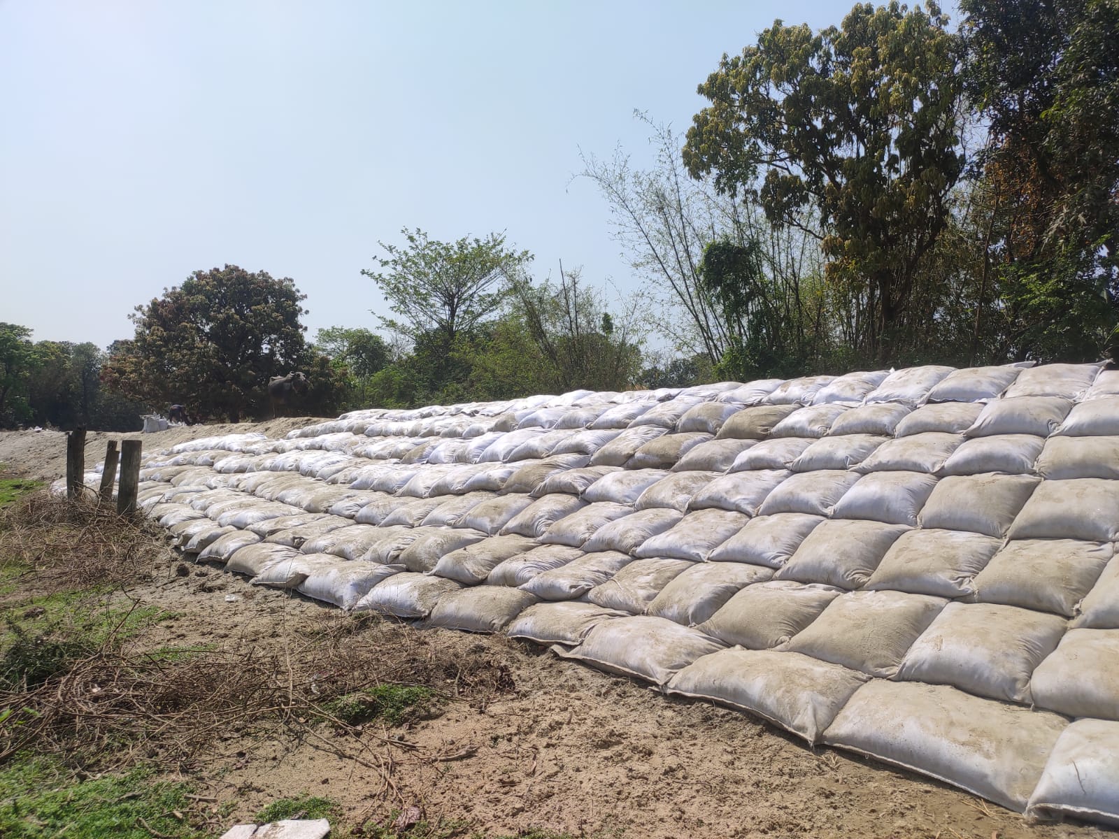 Nature-Based Riverbank Protection Safeguarding Communities for a ...