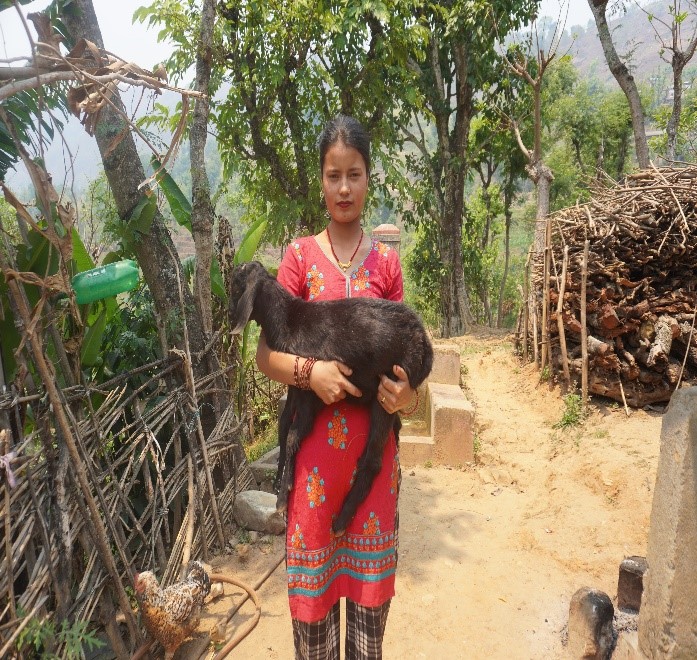 Resilience Amidst Difficulty: The Story of Shanta Roka - :: Rural Oriented Youth Movement Nepal